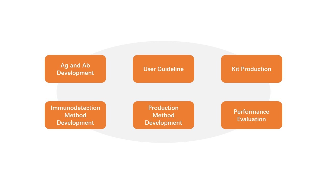 CLIA Solution – 华抗免疫技术