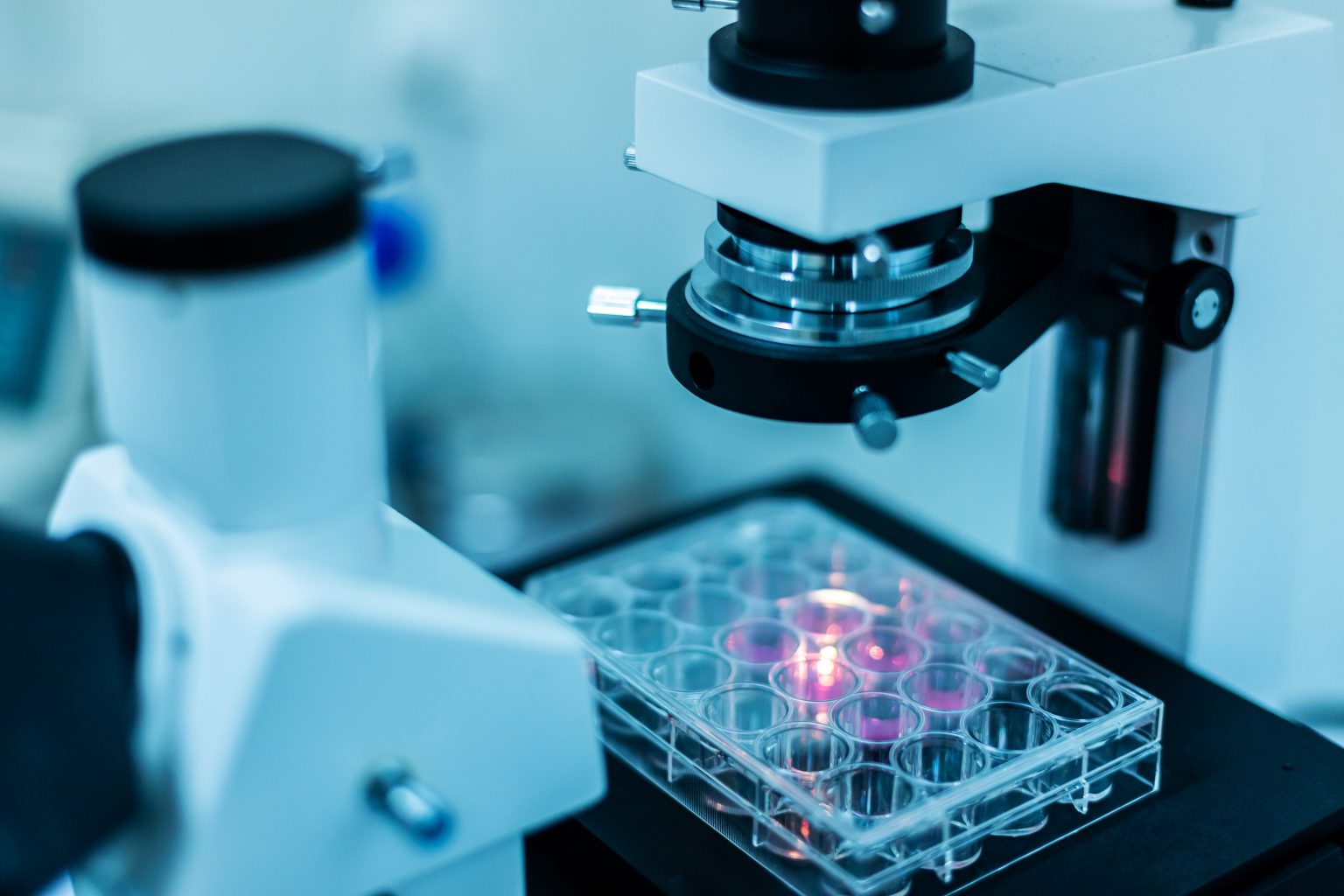 Antibody Development – 华抗免疫技术