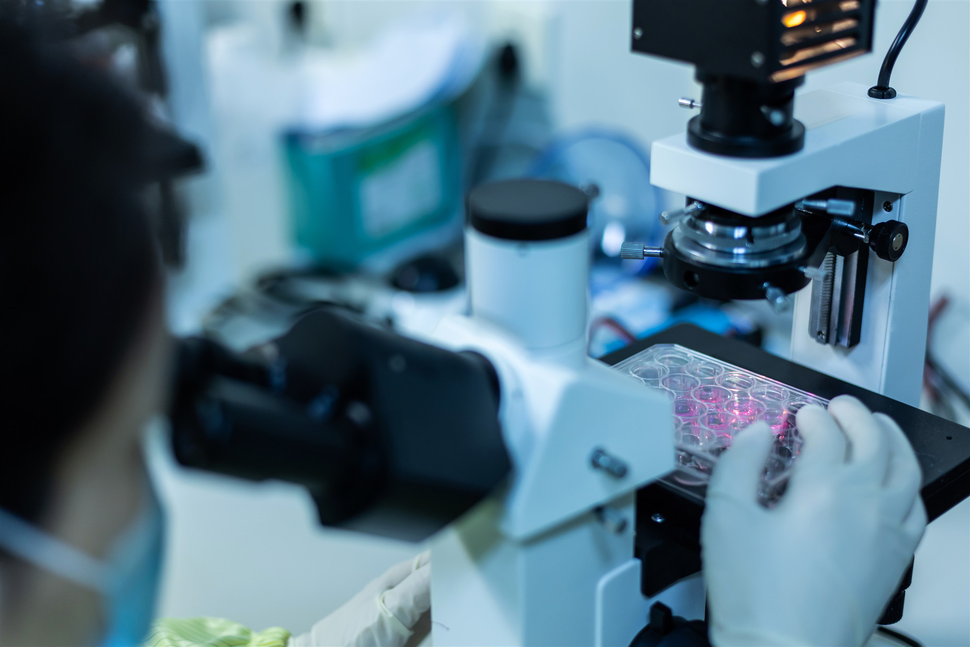 华抗免疫技术 – HKIG Immune Technology